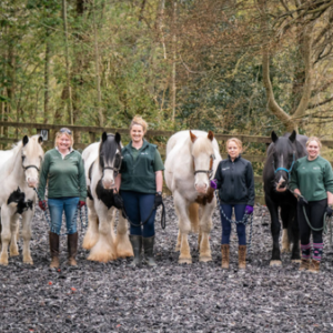 Disabled Horse Riding | Calvert Lakes